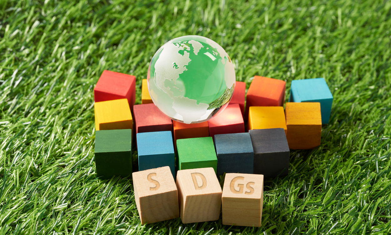 The 17 Sustainable Development Goals (SDGs) Explained: Aligning Business Practices with Global ...