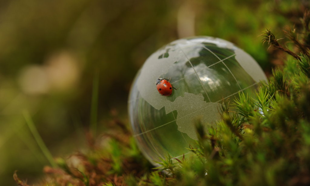 The New Biodiversity 2024 standard by GRI