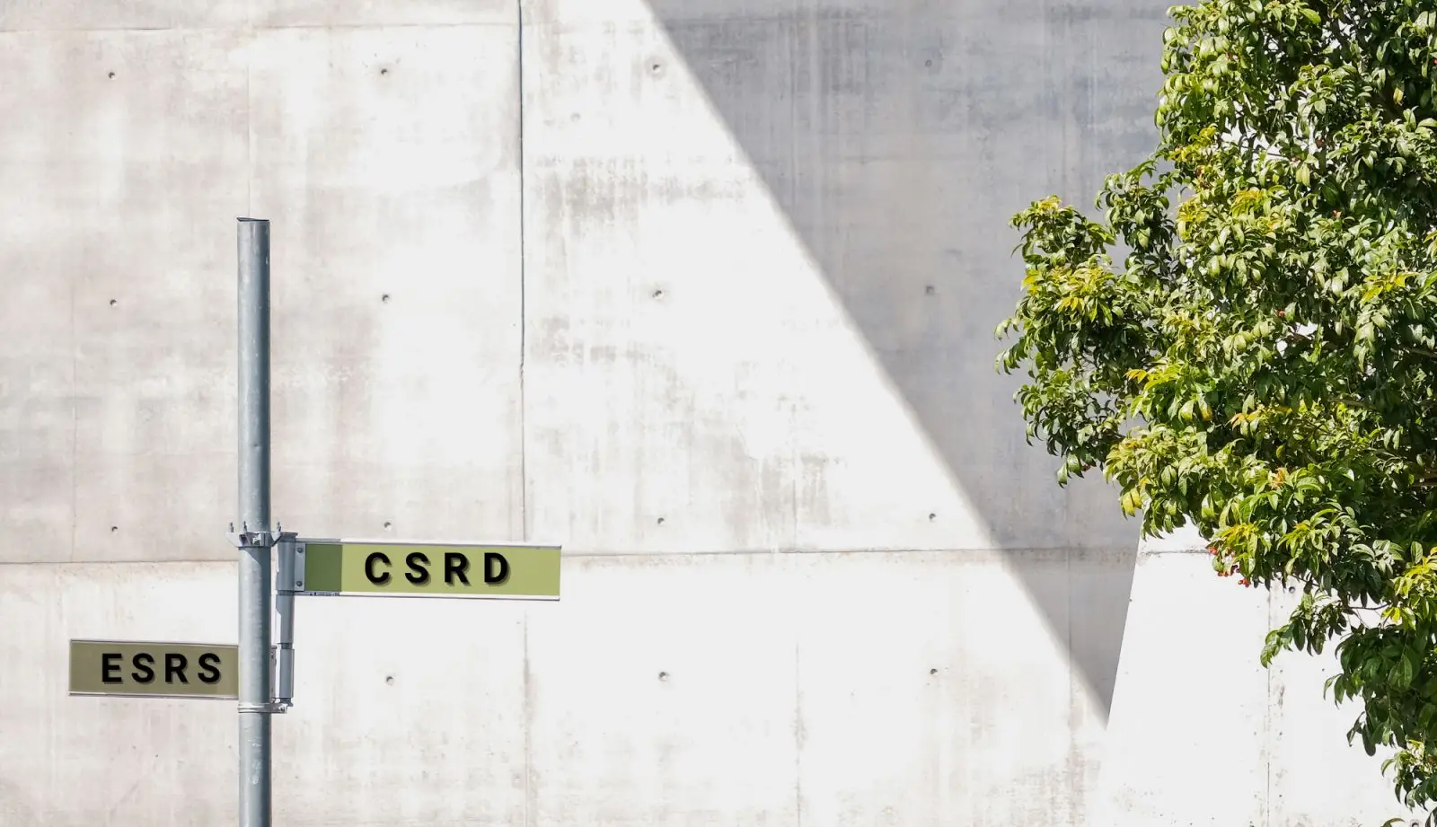 CSRD and the ESRS Standards (Certified Course) - EcoSkills