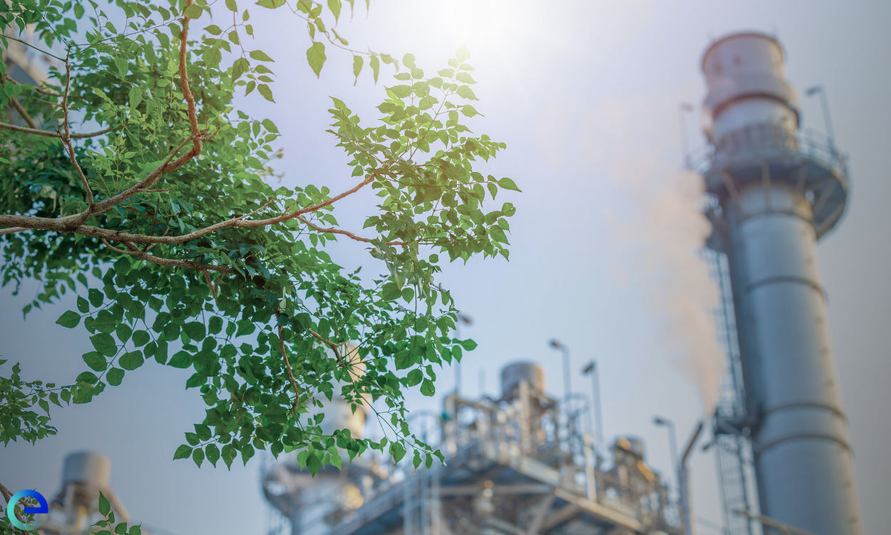 SECR Reporting Guide 2025: UK Business Compliance Rules